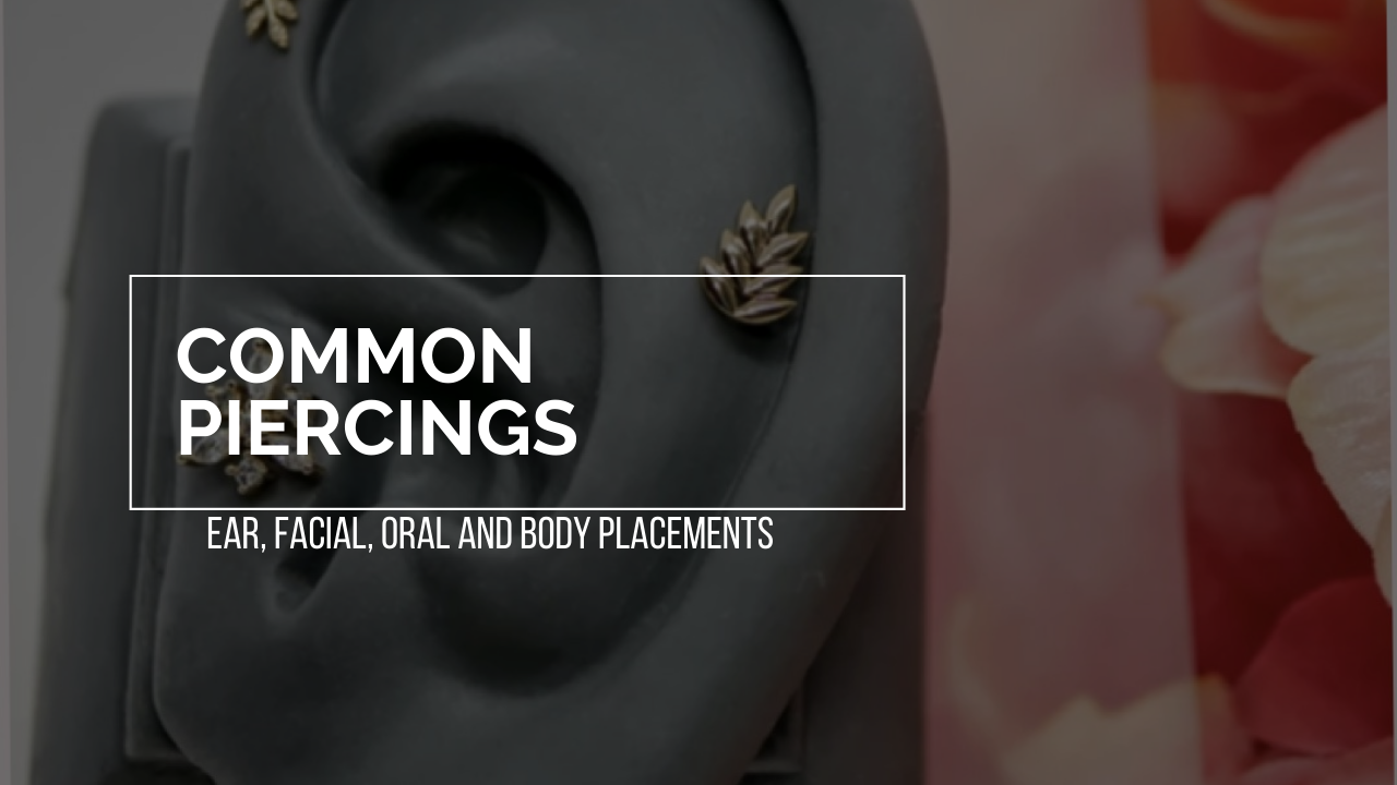 Some of The COMMON Piercing Choices! (WITH PHOTOS) – BodyALTAR