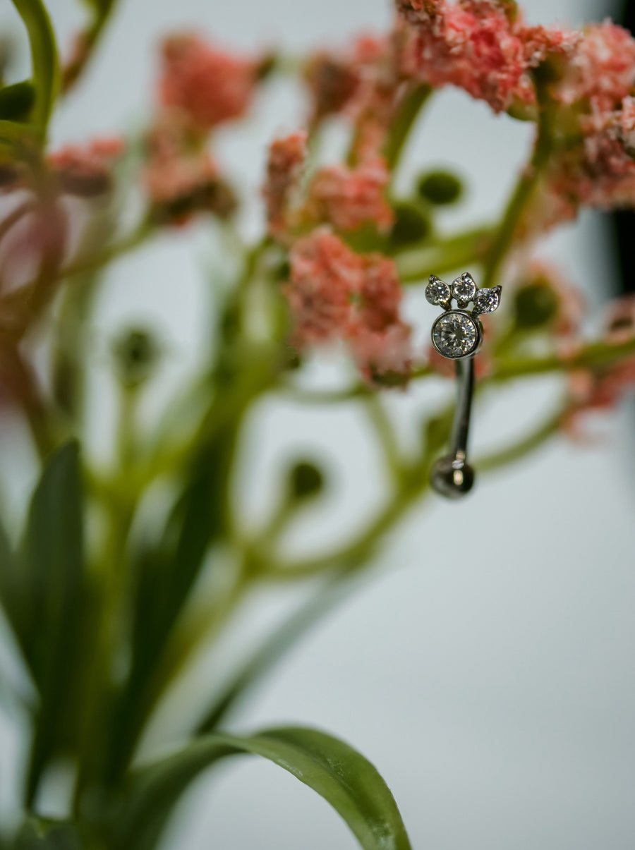 Invictus Body Jewelry – BodyALTAR