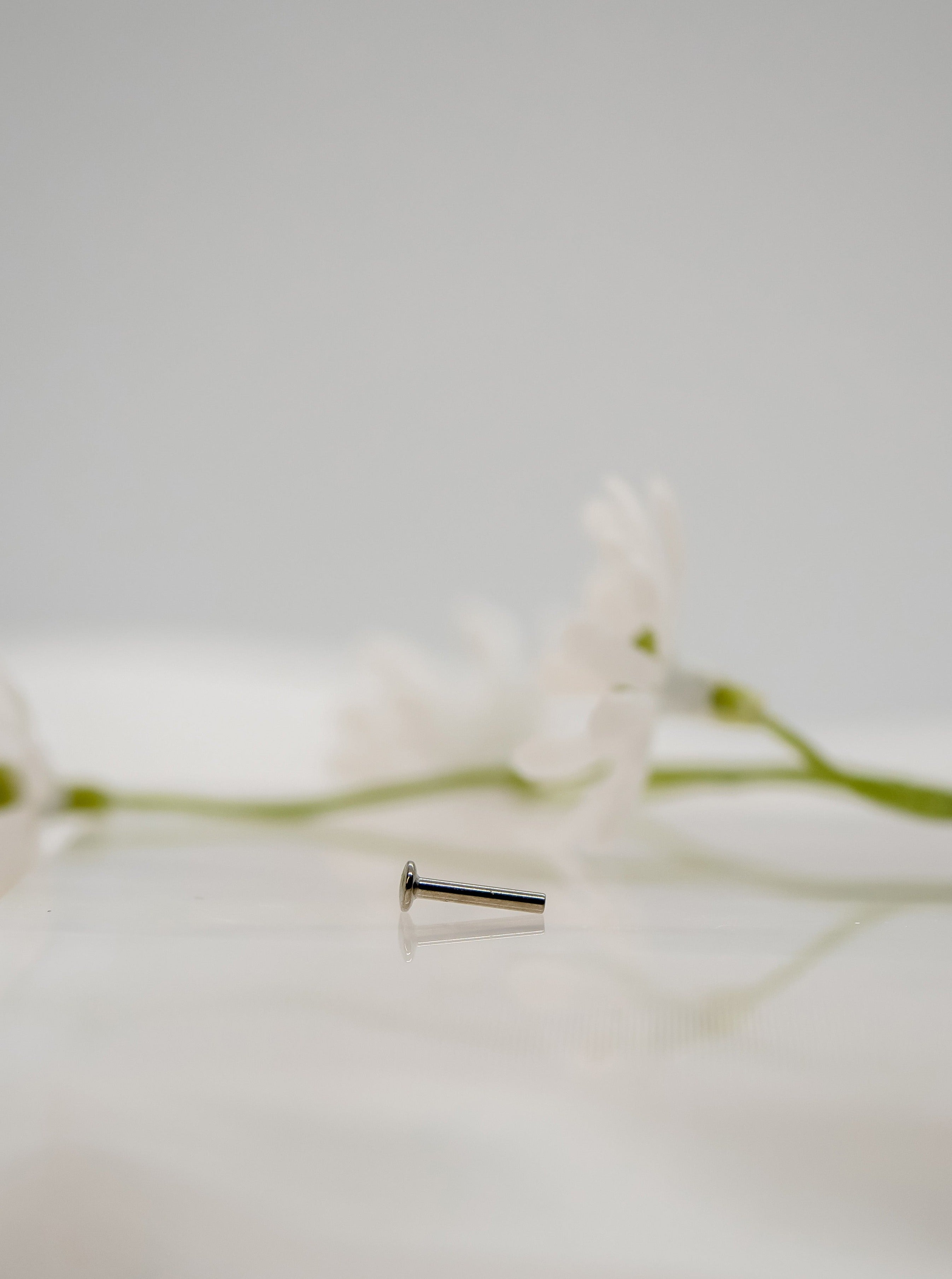 Threadless Titanium Flat-back Labret Post (Backing) – BodyALTAR